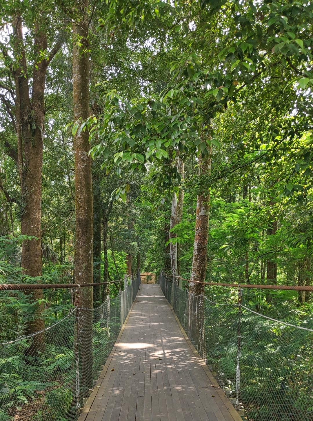 Glamping Situ Gunung Suspension Bridge – evventure