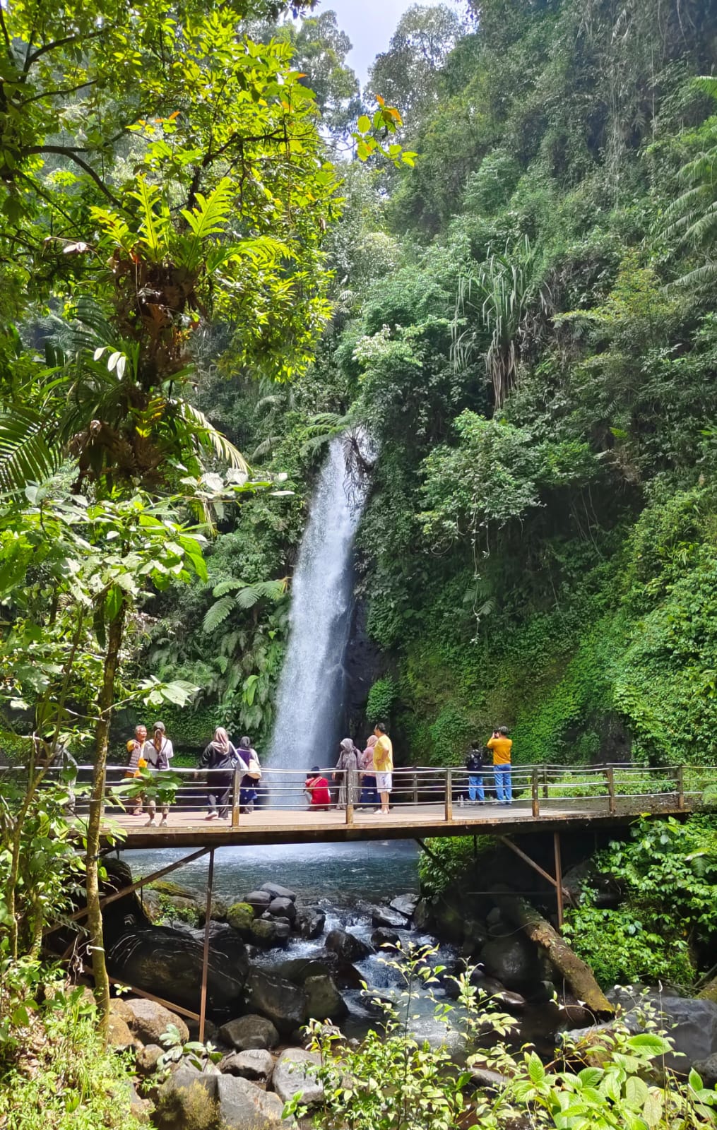 Glamping Situ Gunung Suspension Bridge – evventure